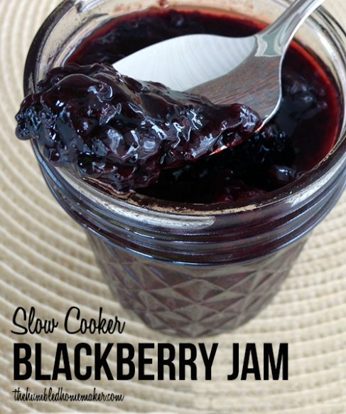 Slow cooker blackberry jam – The Family Freezer