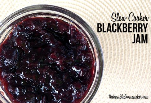 Slow cooker blackberry jam – The Family Freezer