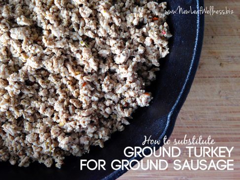 How to sub ground turkey for ground sausage – The Family Freezer