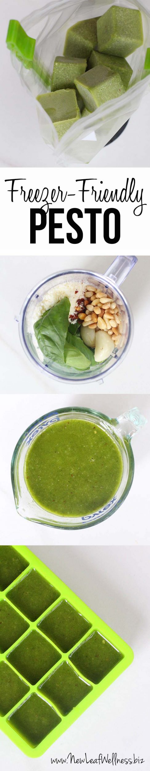 Make and freeze pesto recipe – The Family Freezer