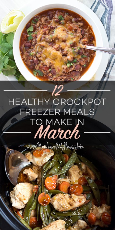 12 Healthy Crockpot Freezer Meals to Make in March – The Family Freezer