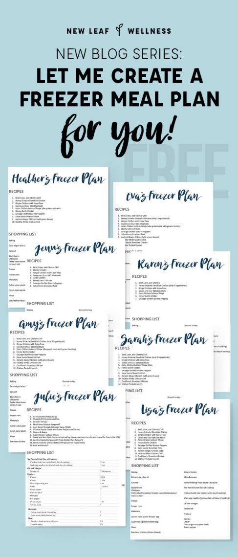 New Blog Series: Let Me Create a Freezer Meal Plan for You! – The ...