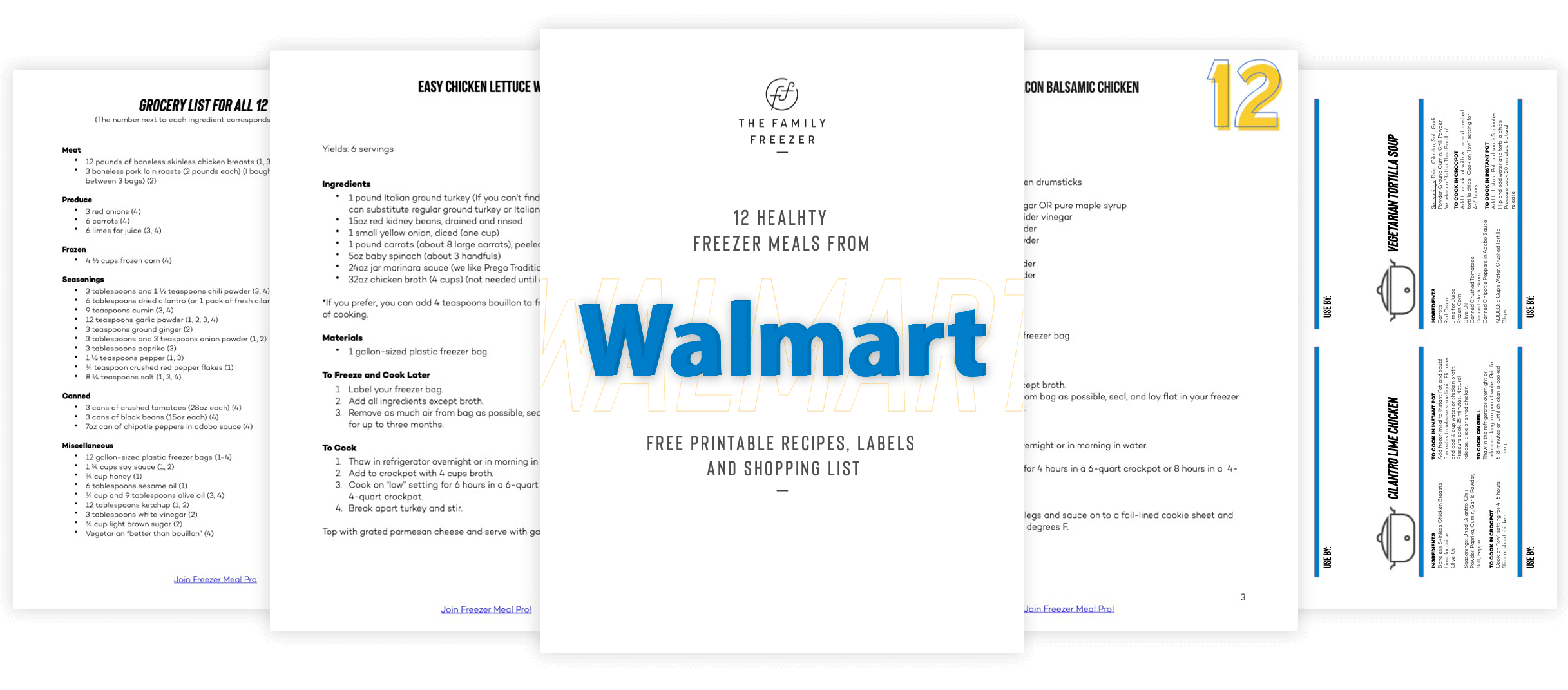 Class: Walmart – The Family Freezer